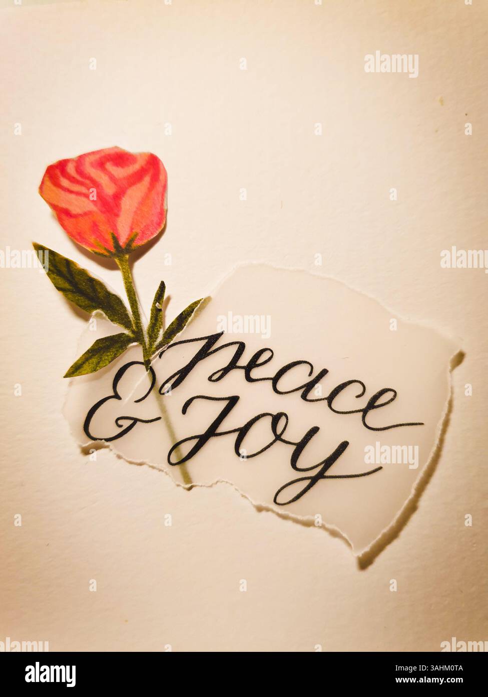 Red rose with text „peace and joy“ Stock Photo - Alamy