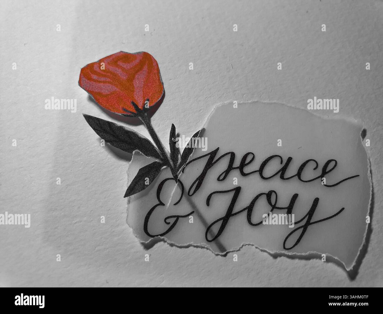 Red rose with text „peace and joy“ Stock Photo - Alamy