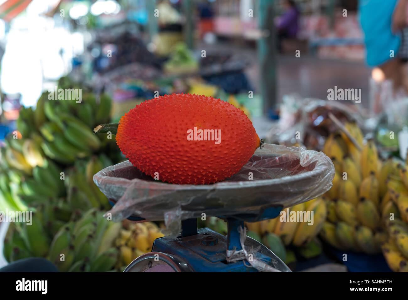 Gac fruit (Baby jackfruit, Cochinchin gourd, Spiny bitter gourd, Sweet ...