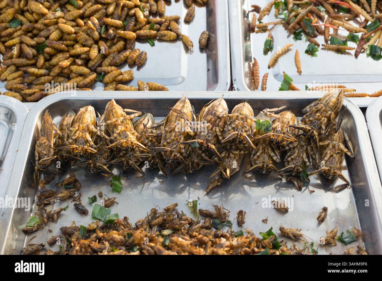 Fried insects various types is the food is easy to find in Thailand ...