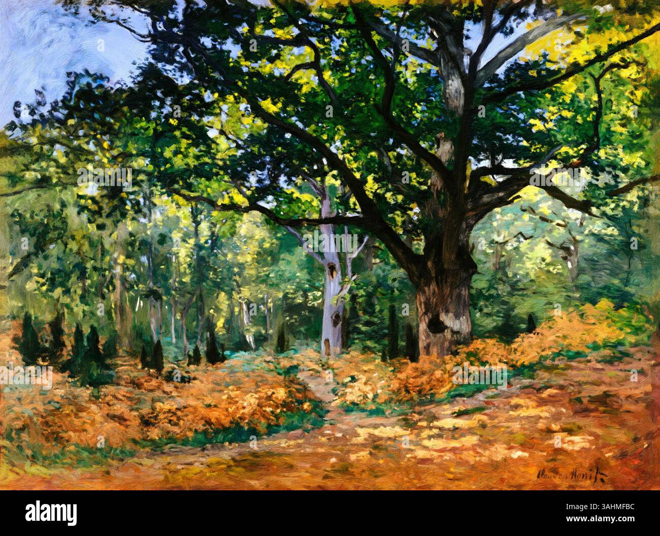 The Bodmer Oak, Fontainebleau Forest by Claude Monet, high resolution famous painting Stock ...