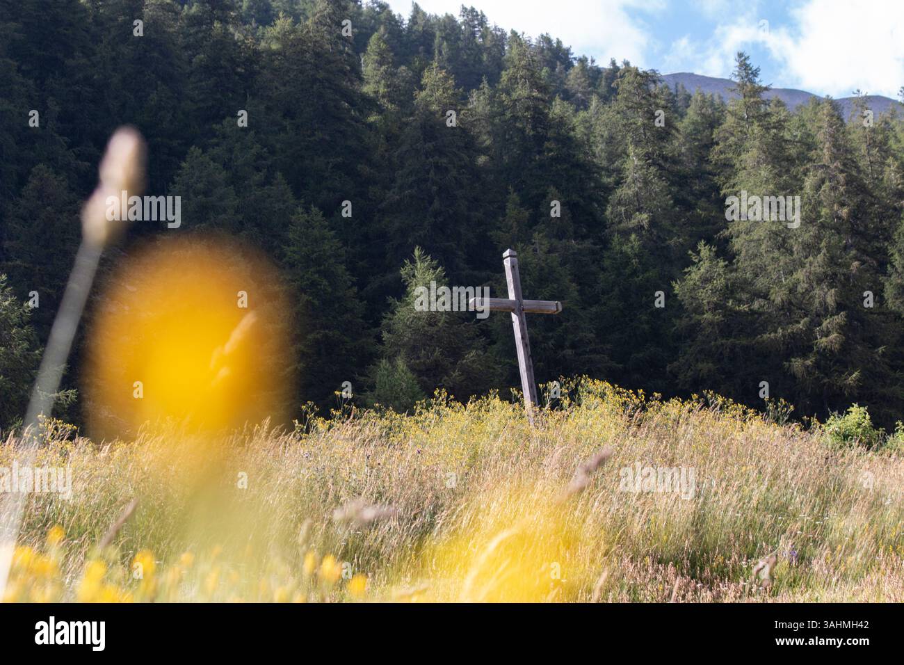 Sunlit Cross Amid Alpine Wildflowers Stock Photo - Alamy