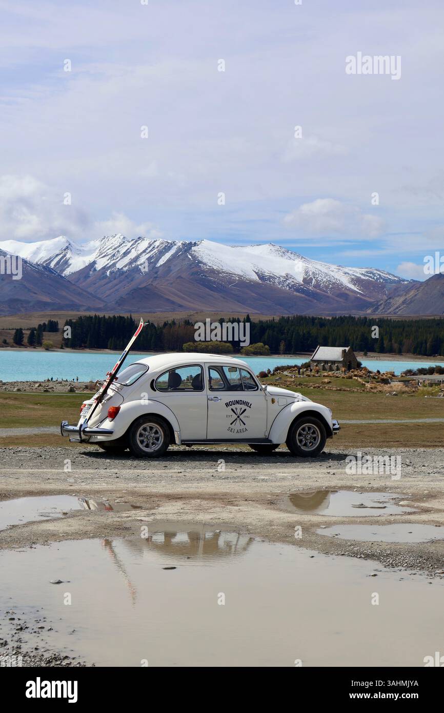A bug at Lake Tekapo Stock Photo - Alamy