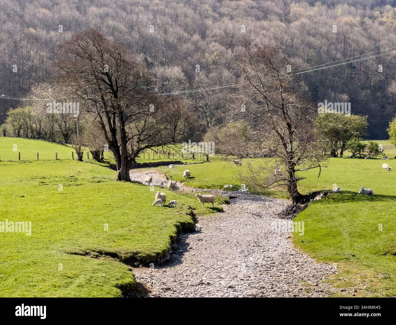 Farming agriculture mid wales landscape hi-res stock photography and ...