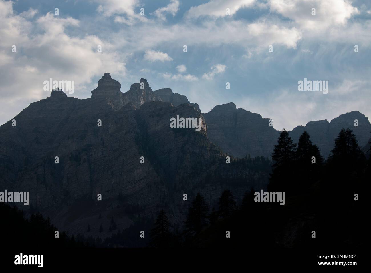 Alpine biodiversity hi-res stock photography and images - Alamy