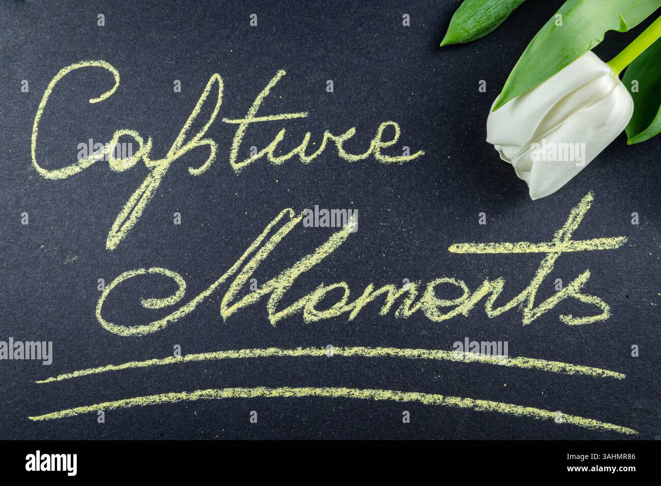 The inspiring words that capture memorable moments are creatively ...