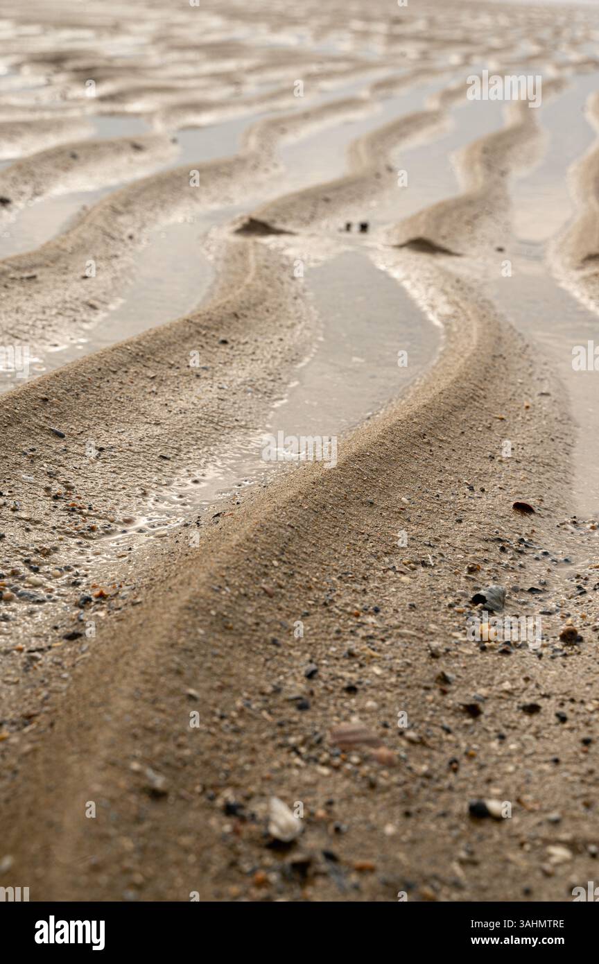 This is a detailed close up of a beautiful sandy beach featuring gentle ...