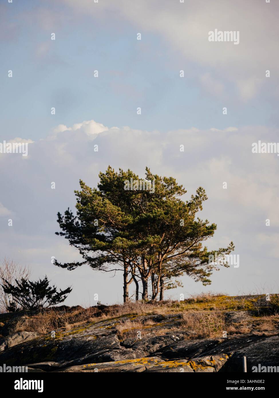 A serene scene on the archipelago islands in Gothenburg, Sweden ...
