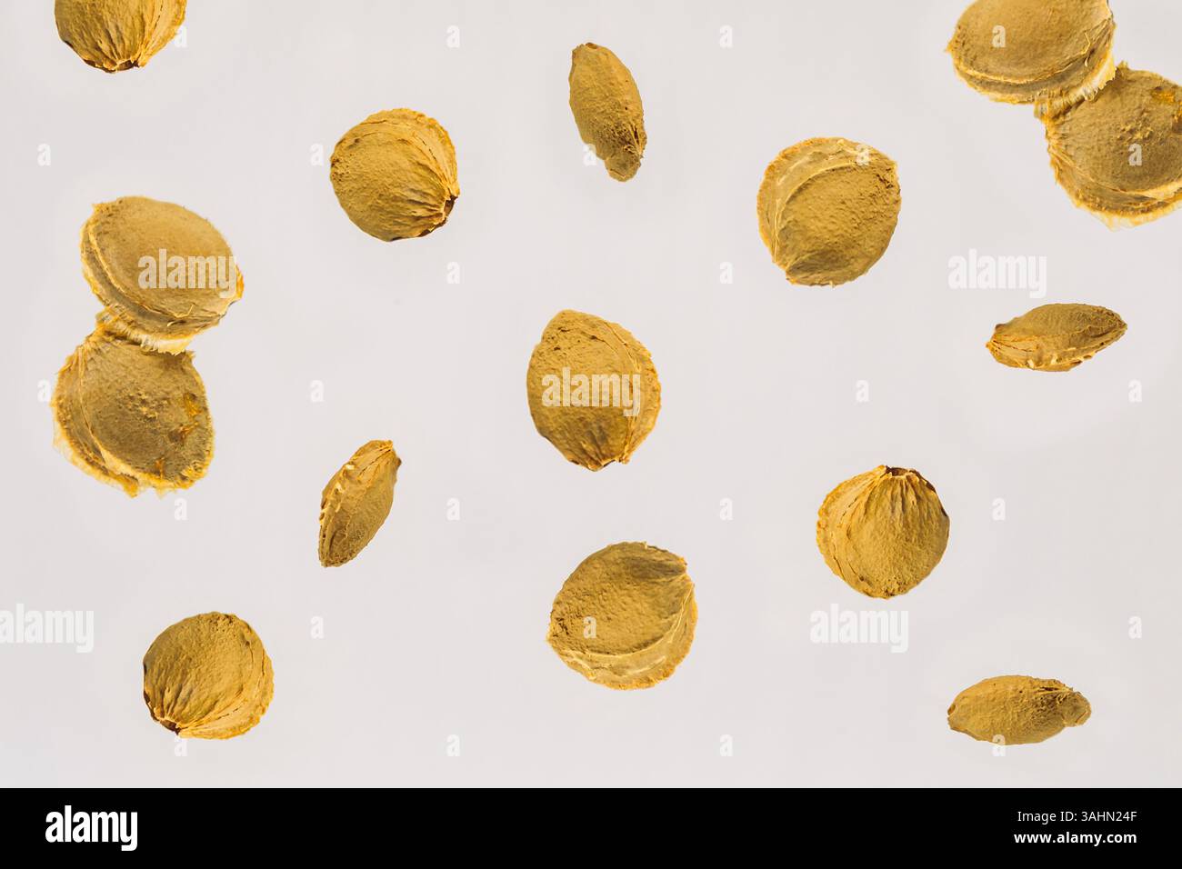 Close up of many almonds scattered across a white background. The ...