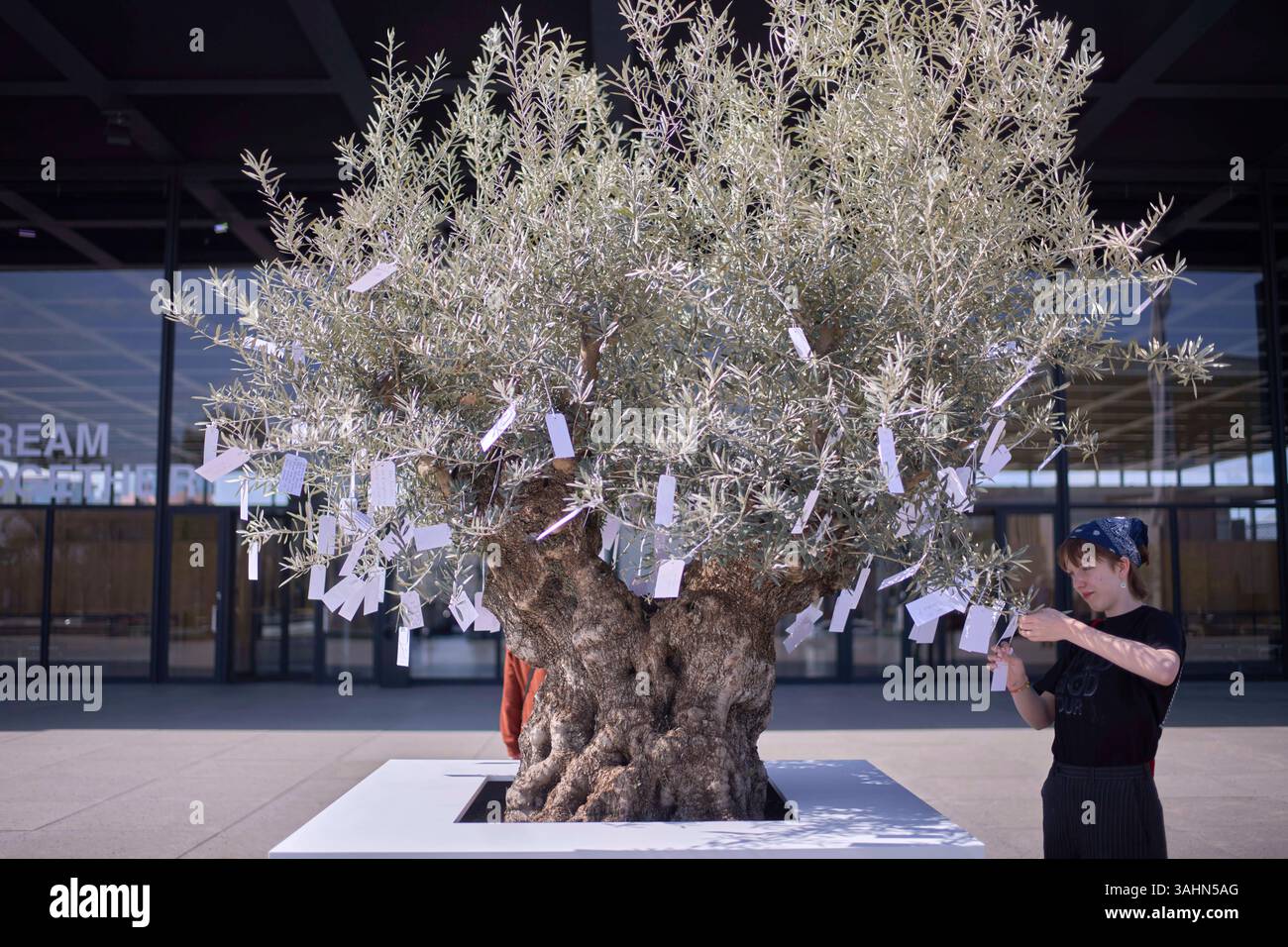 A woman fixes a paper with a wish at the art work : "WISH TREE" by ...