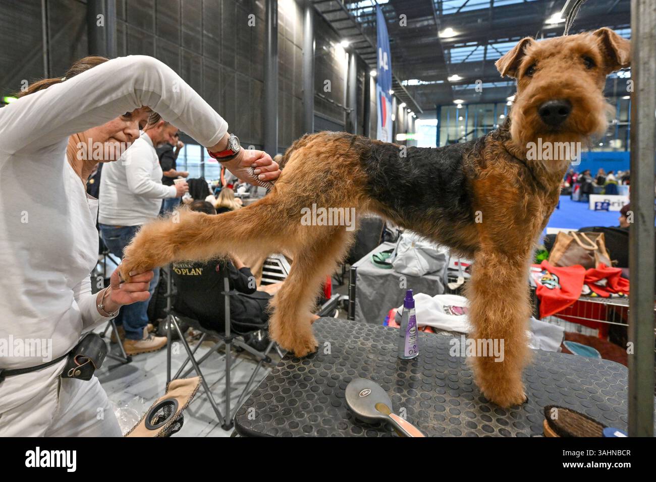 Brno, Czech Republic. 10th Apr, 2025. More than 17,000 dogs compete for ...