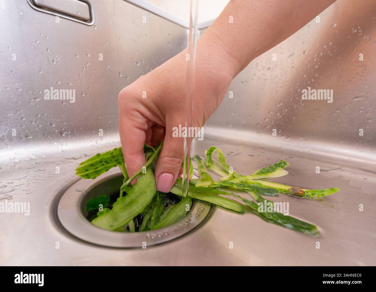 Food waste management: cucumber peels being processed in a garbage ...