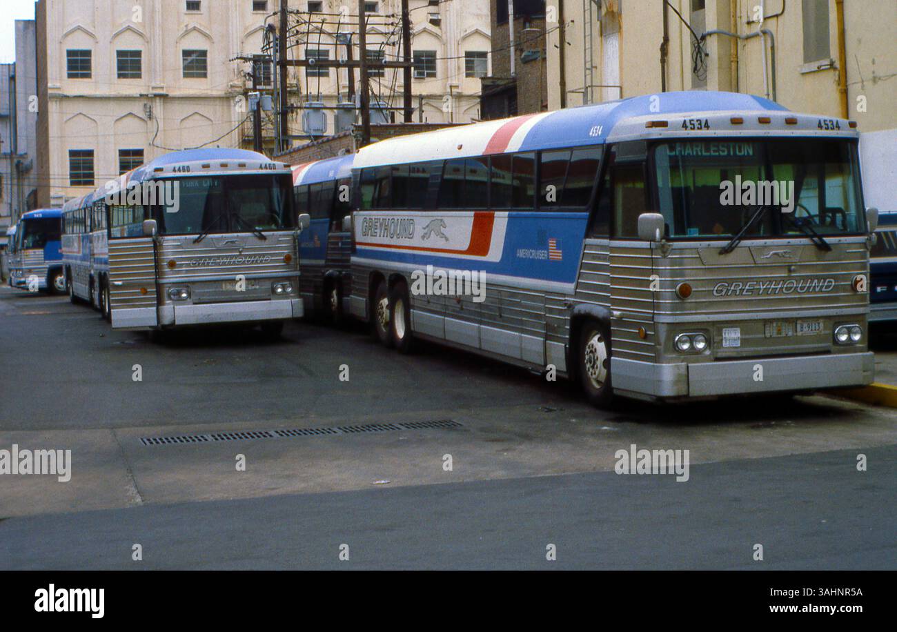 Greyhound Americruiser buses in 1981 - Charleston and New York City ...