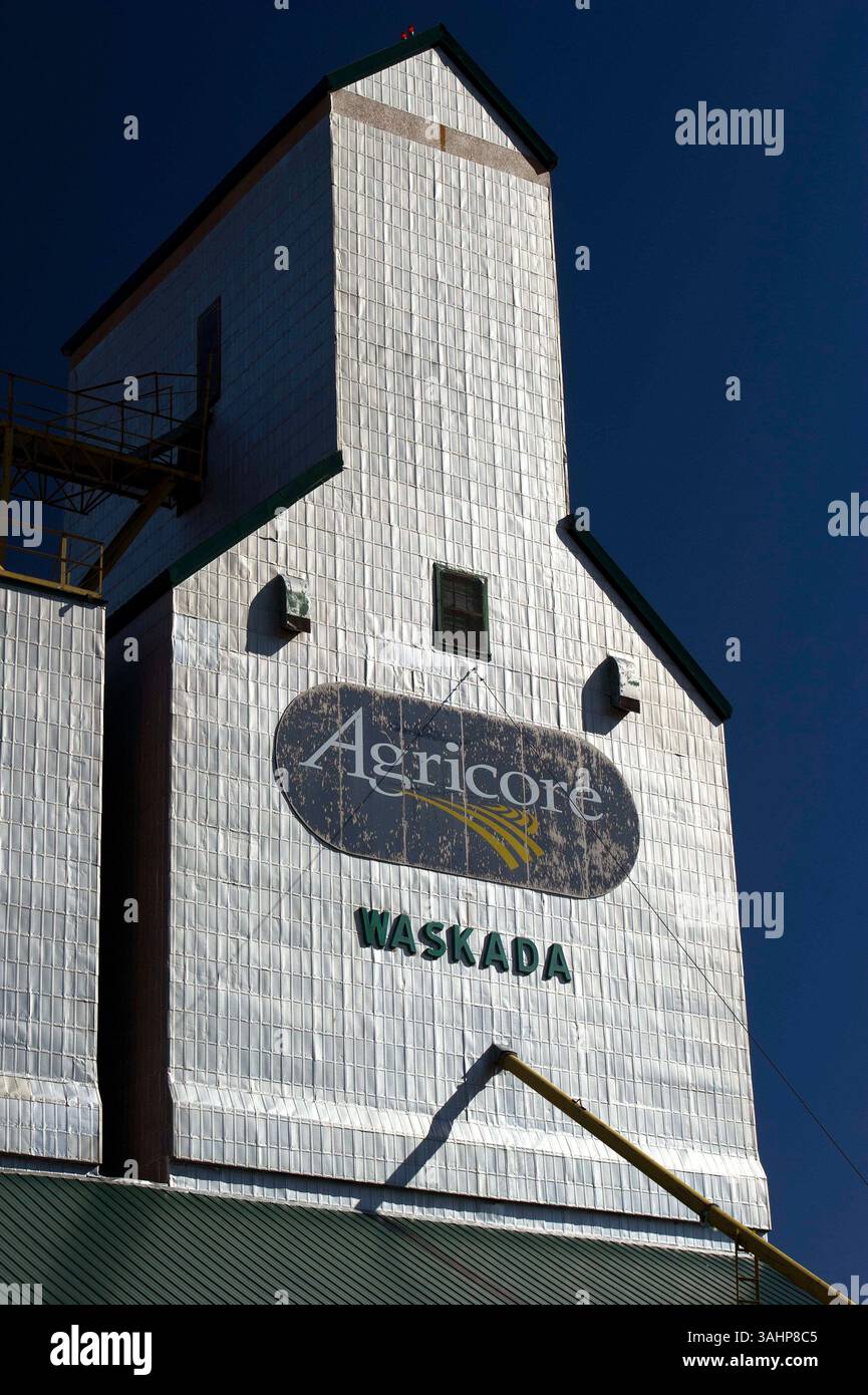 Aug 17, 2011 - Waskada, Man, Canada - Waskada, Man, Canada - Grain ...