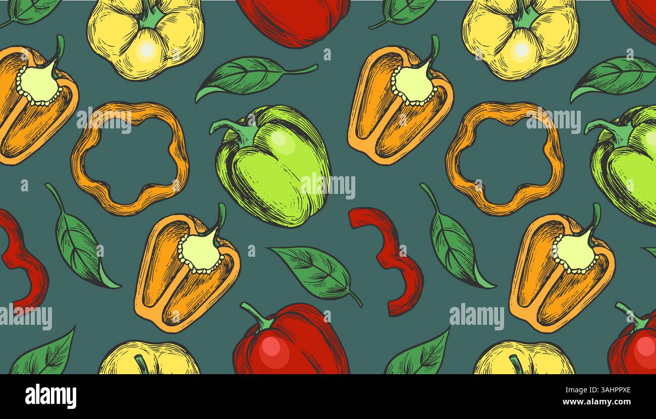 Green bell pepper sliced Stock Vector Images - Alamy