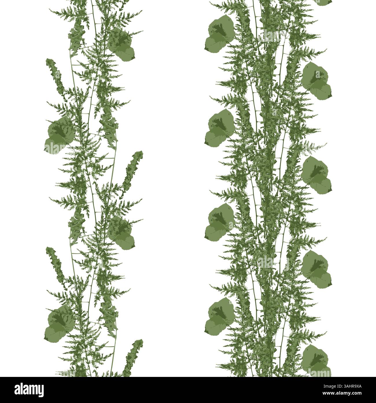 Seamless border with dry herbs and leaves. Wild field and forest plants ...