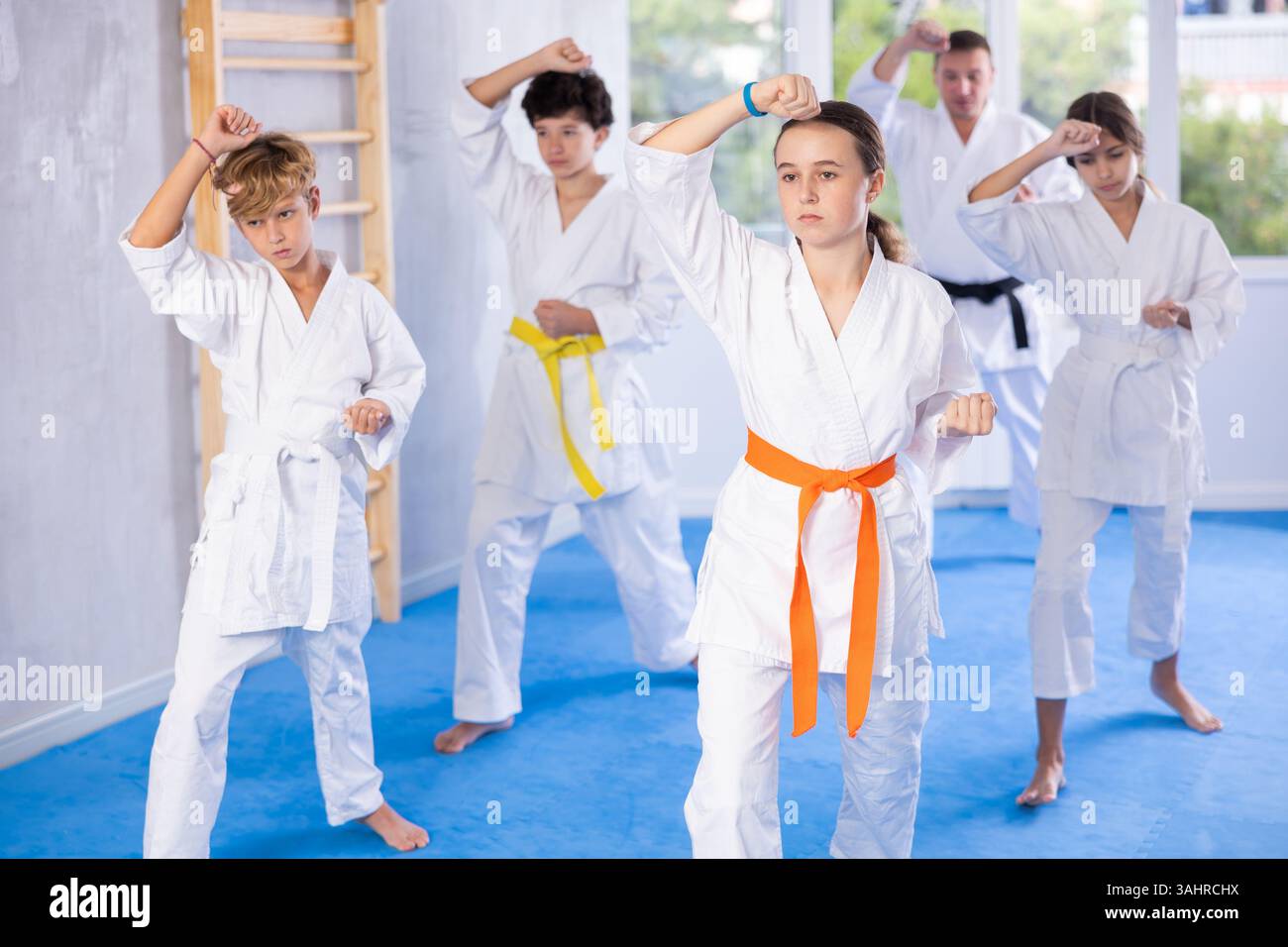 Group of children train karate techniques Stock Photo - Alamy