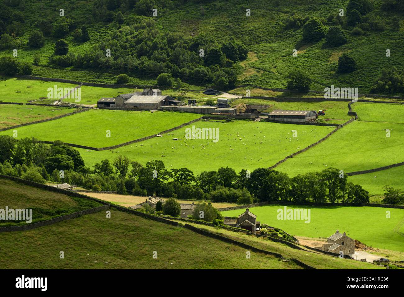 Sunlit steep-sided valley (picturesque high view, livestock on farmland ...