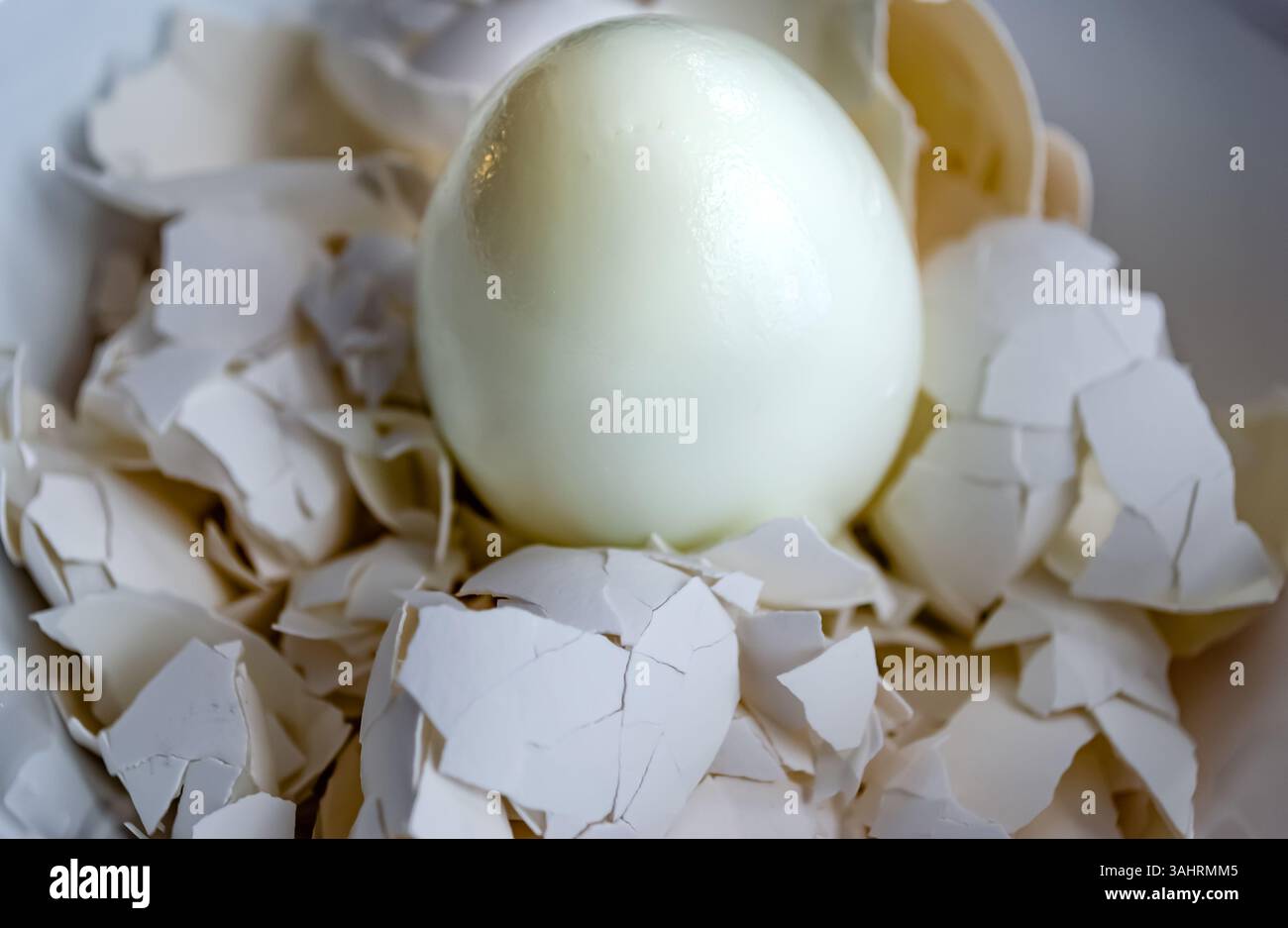 Eggshells crushed hi-res stock photography and images - Alamy
