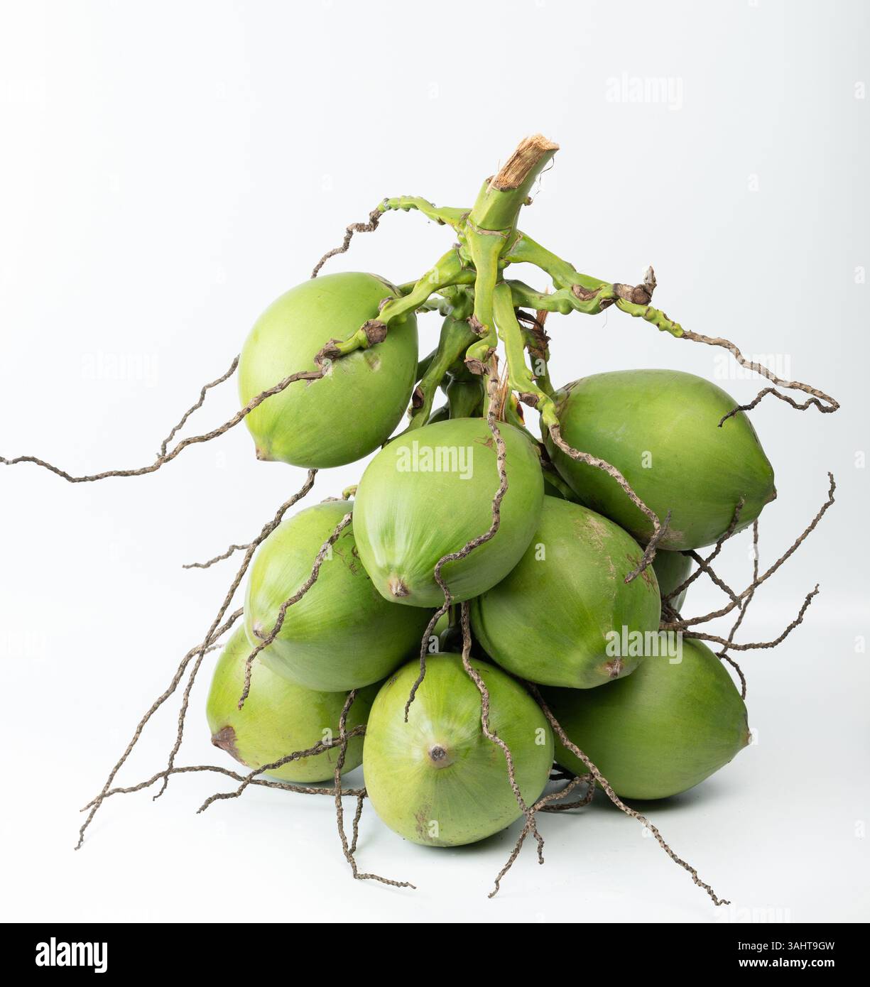Green coconut branch isolated on white studio background Stock Photo ...