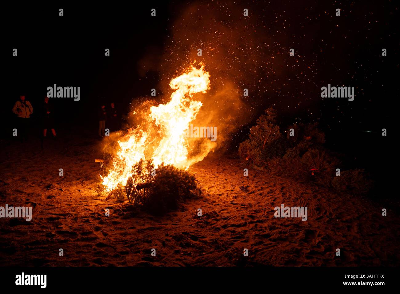 Seattle, USA. 9th Jan, 2025. The annual Christmas tree bonfire on ...