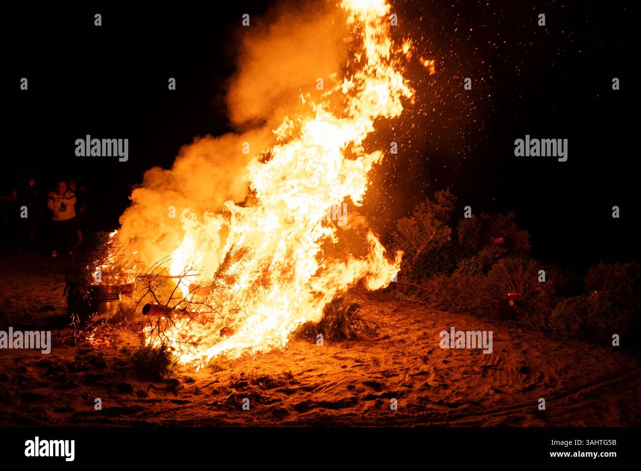 Seattle, USA. 9th Jan, 2025. The annual Christmas tree bonfire on ...