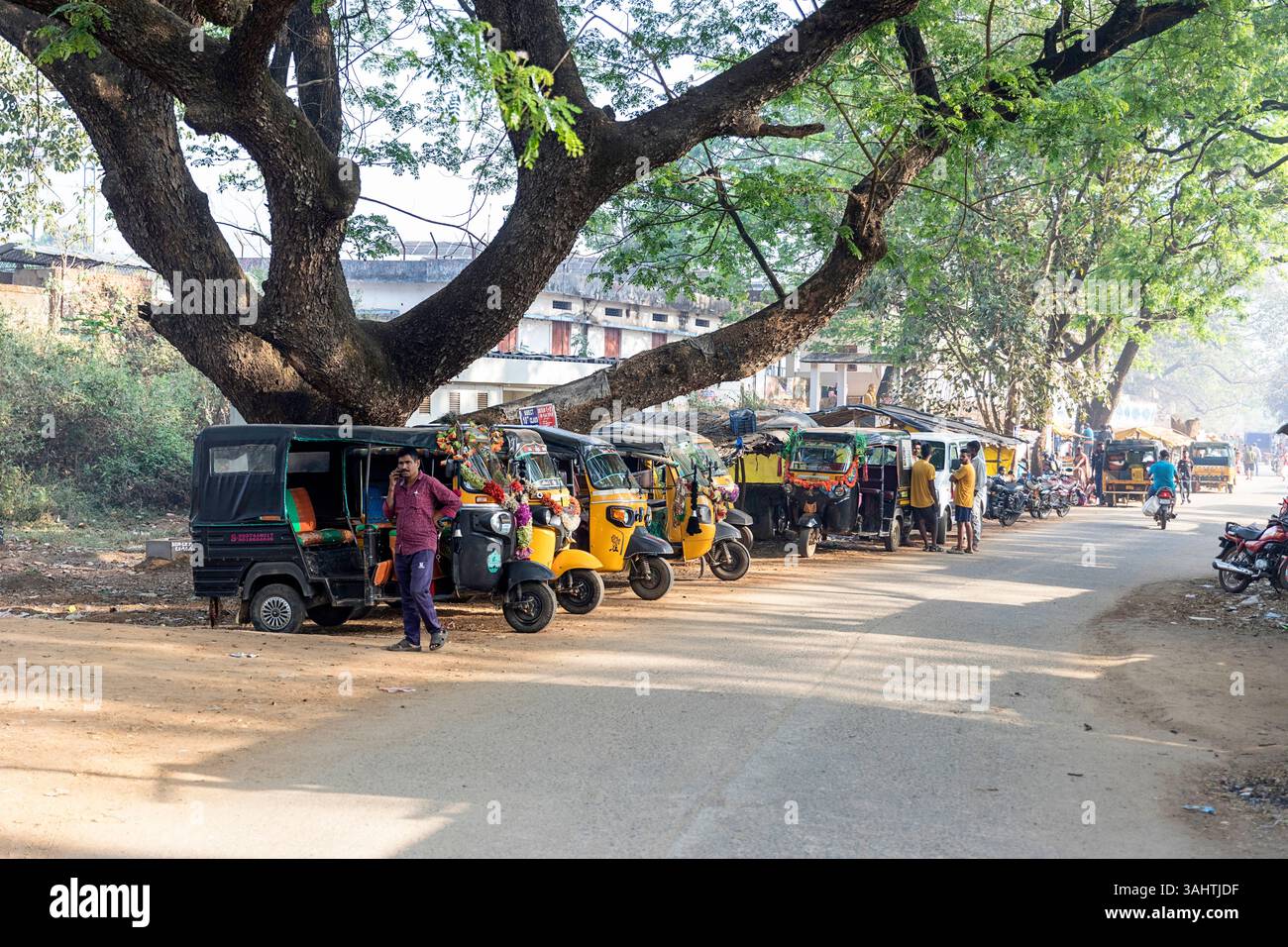 Decorated Rickshaw autos waiting parked under beautiful old trees for ...