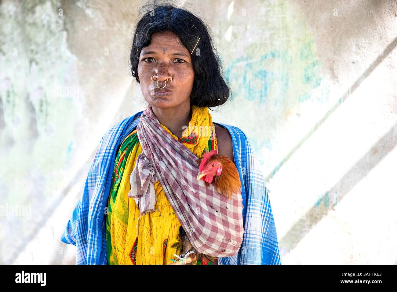 Woman holding a chicken from a Dongria Kondh tribe in Orissa in India ...