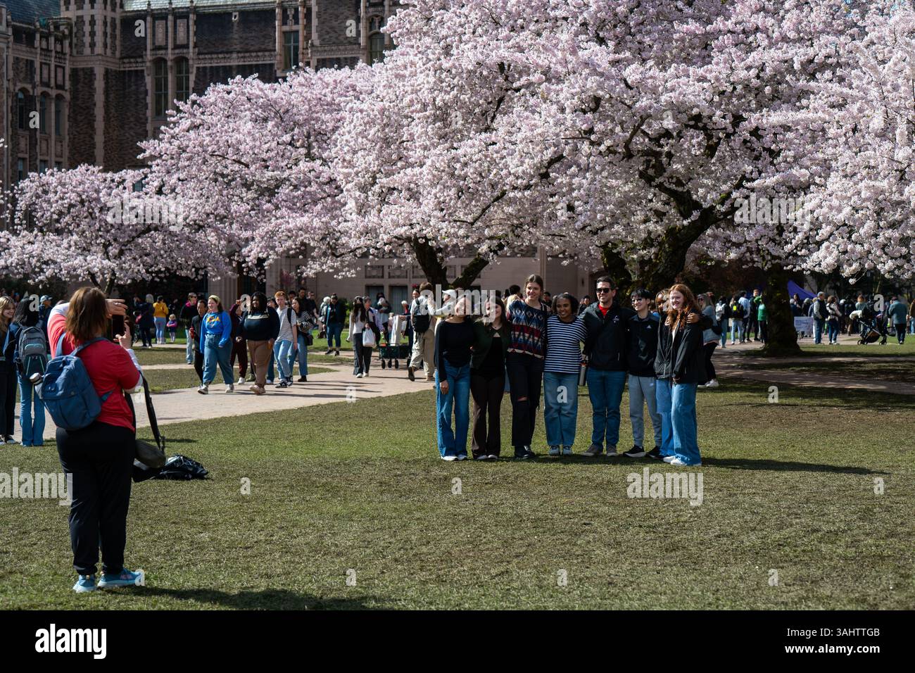 Seattle, USA. 3rd Apr 2025. People visiting the UW Cherry Blossoms in ...