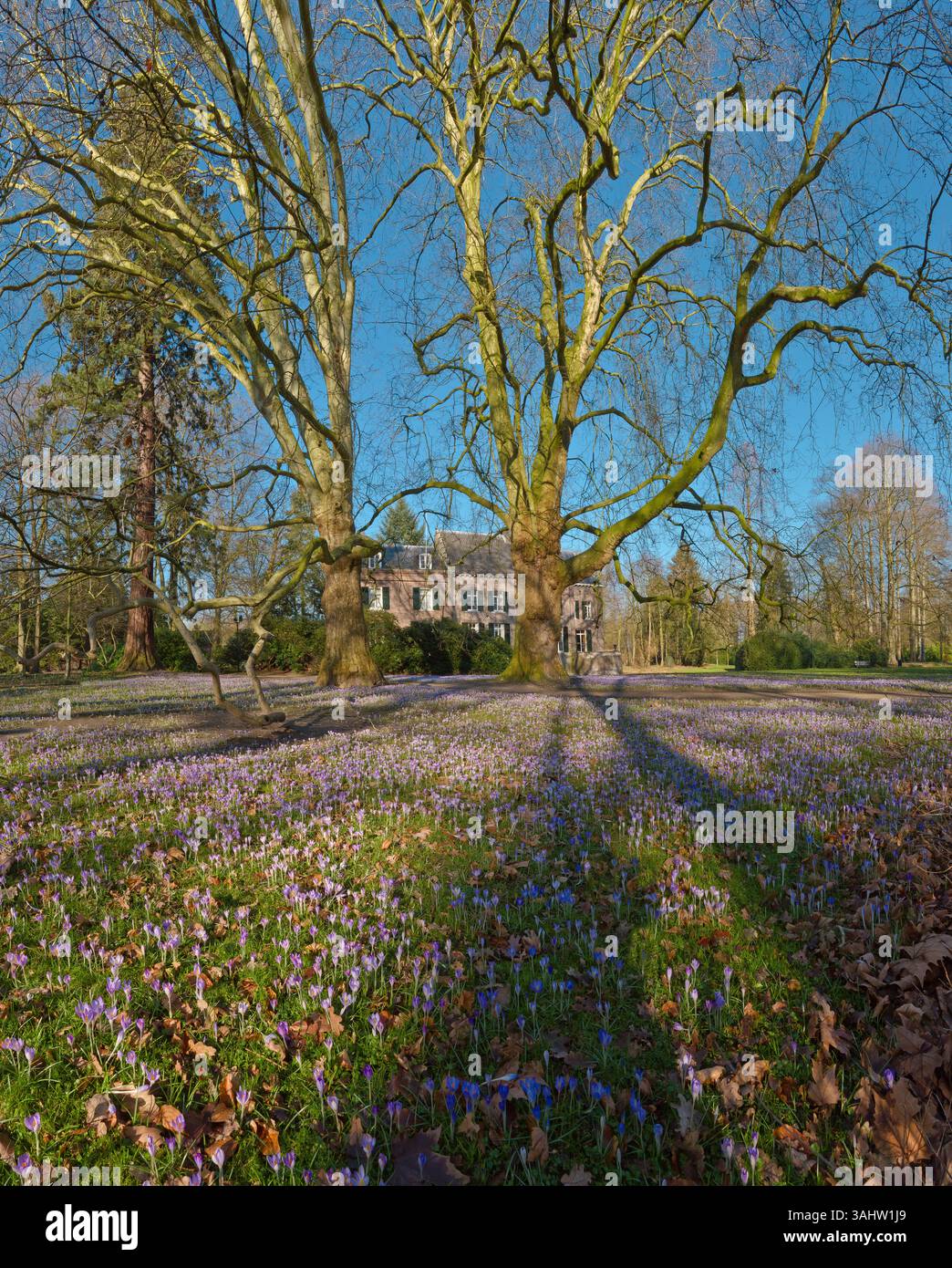 Geldrop castle, Geldrop, , Noord-Brabant, Netherlands, René van der ...