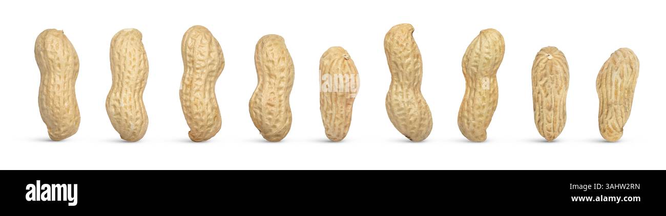 Diverse peanuts. Shelled raw peanut of different shapes standing ...