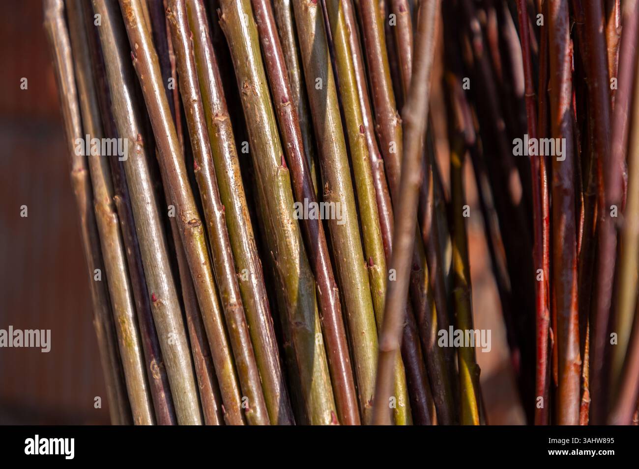 Willow rods hi-res stock photography and images - Alamy