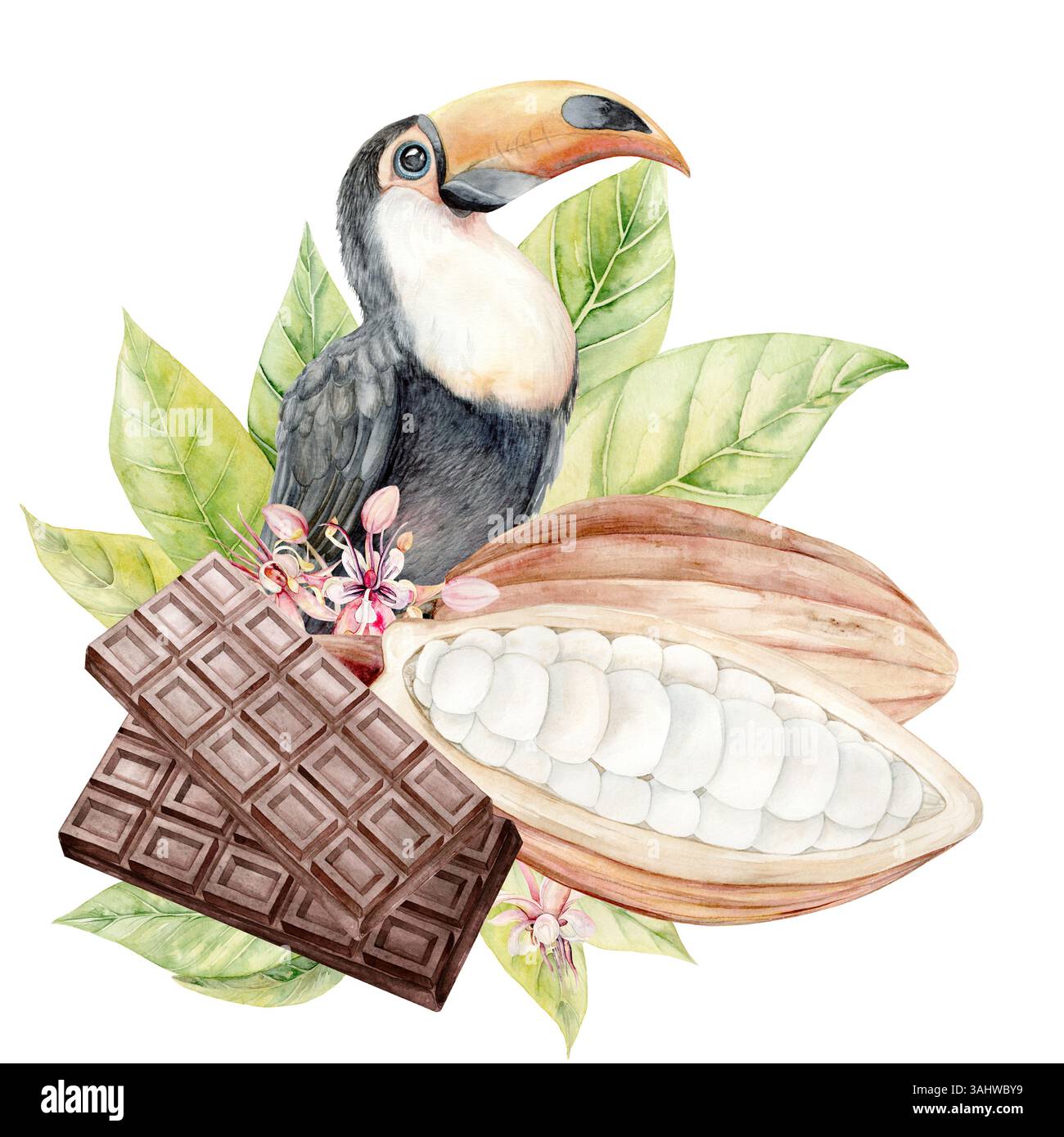 Watercolor illustration of Toucan Bird, chocolate and cocoa bean bars ...
