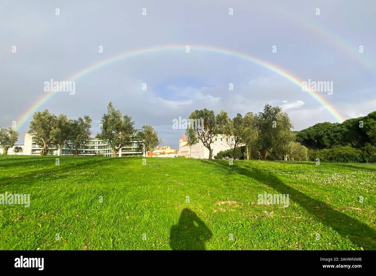 A vibrant double rainbow arches over a lush green field with trees ...