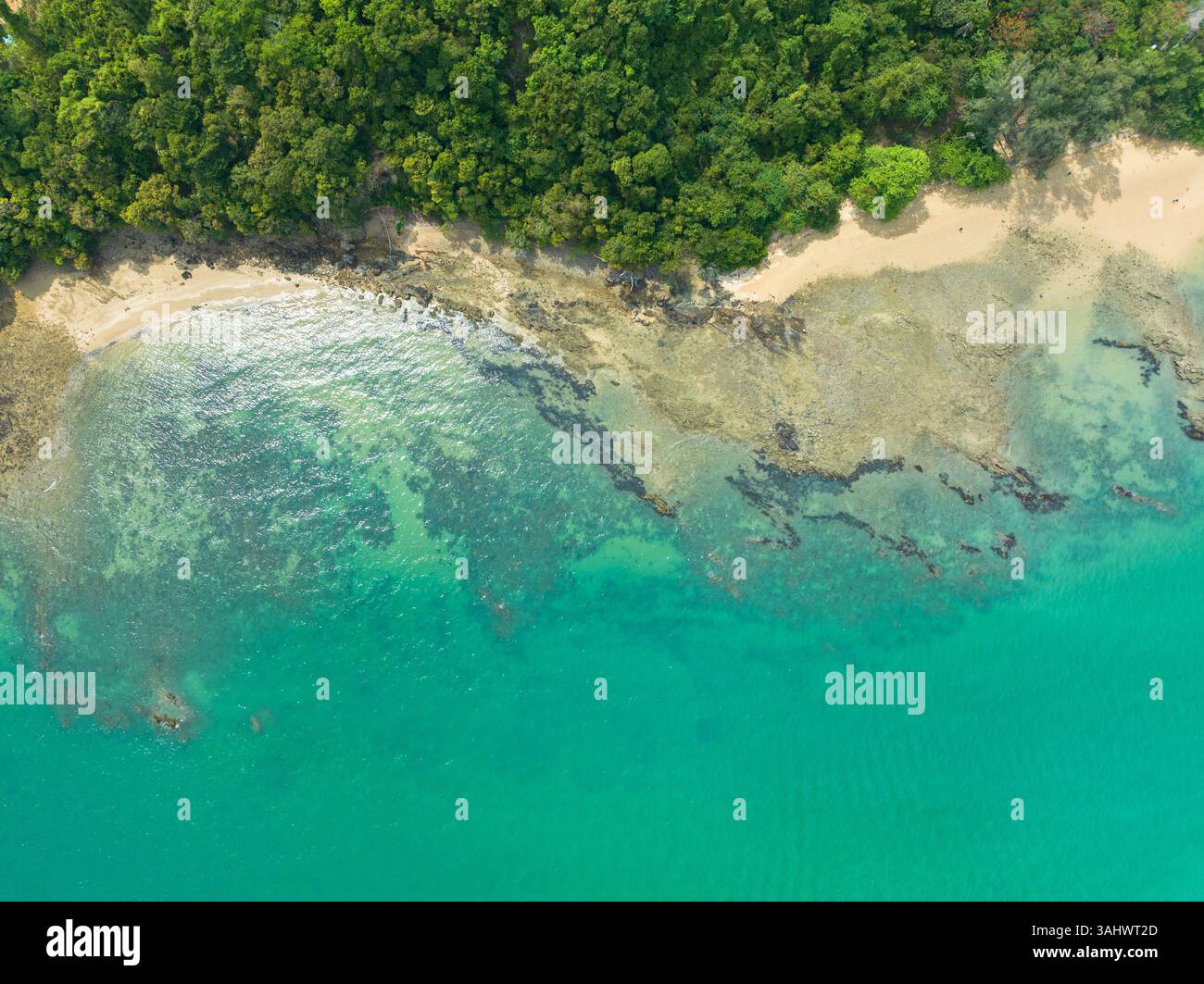 A breathtaking aerial view of a lush green coastline with winding paths ...