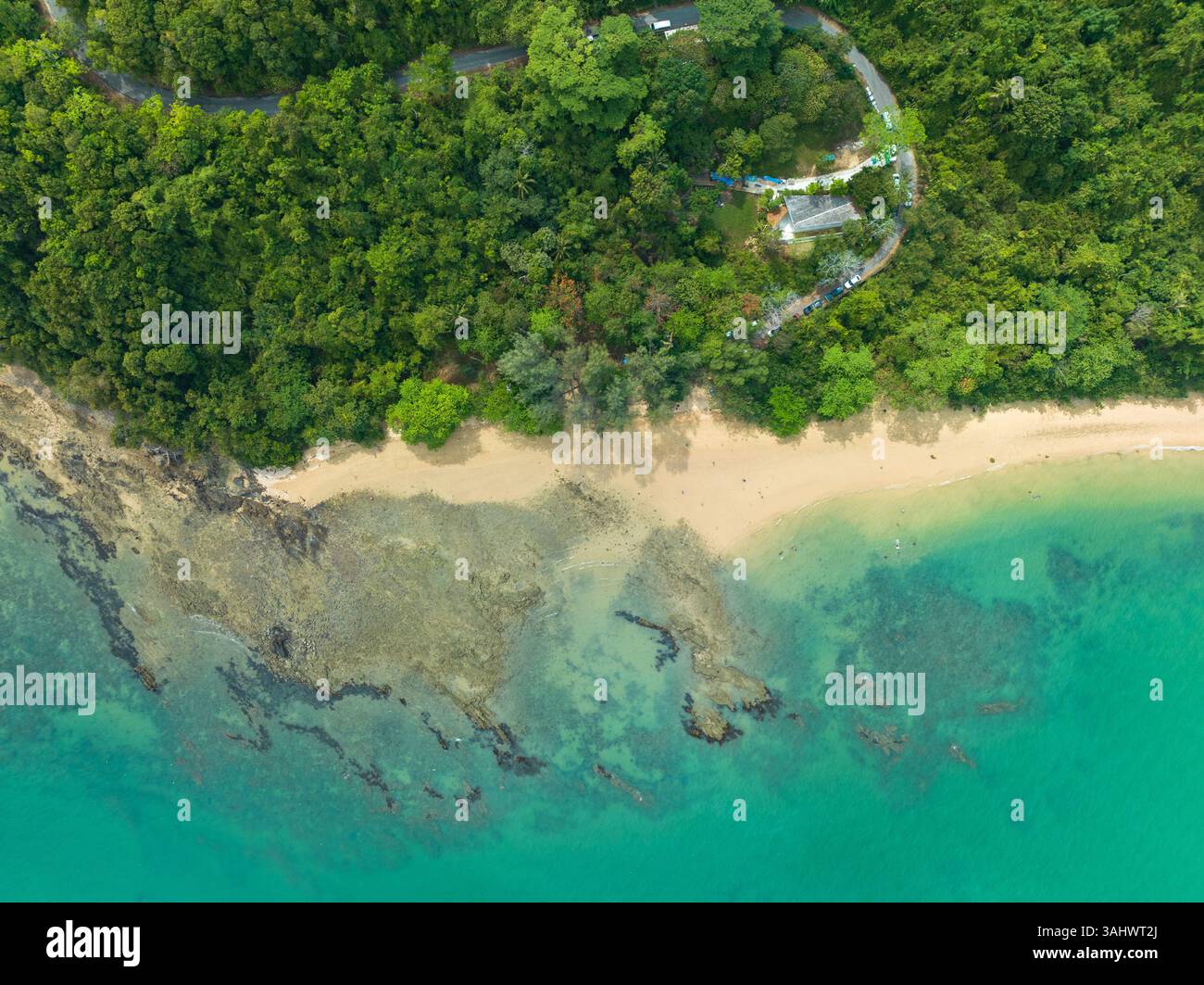 A breathtaking aerial view of a lush green coastline with winding paths ...