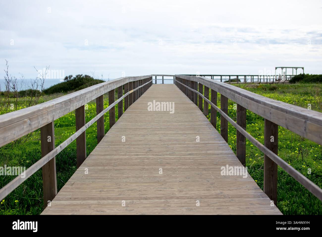 Wooden boardwalk stairs through hi-res stock photography and images - Alamy