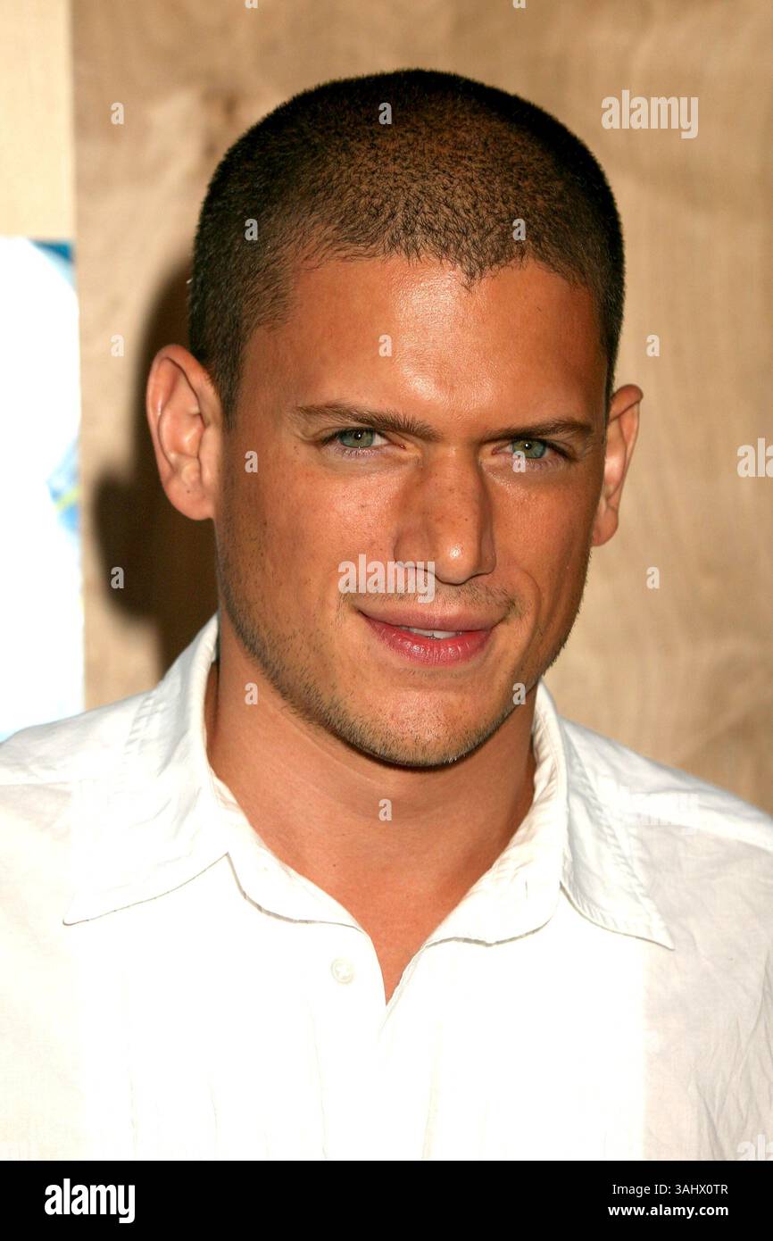 Wentworth miller fox tca summer hi-res stock photography and images - Alamy