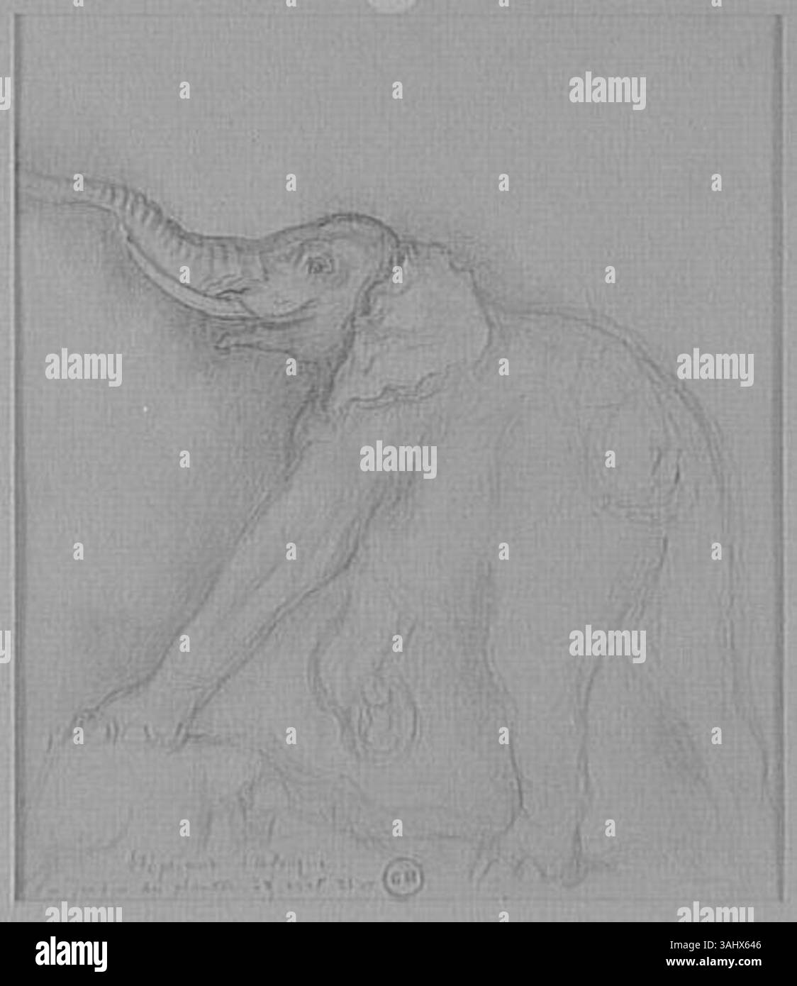 Elephant in motion Black and White Stock Photos & Images - Alamy