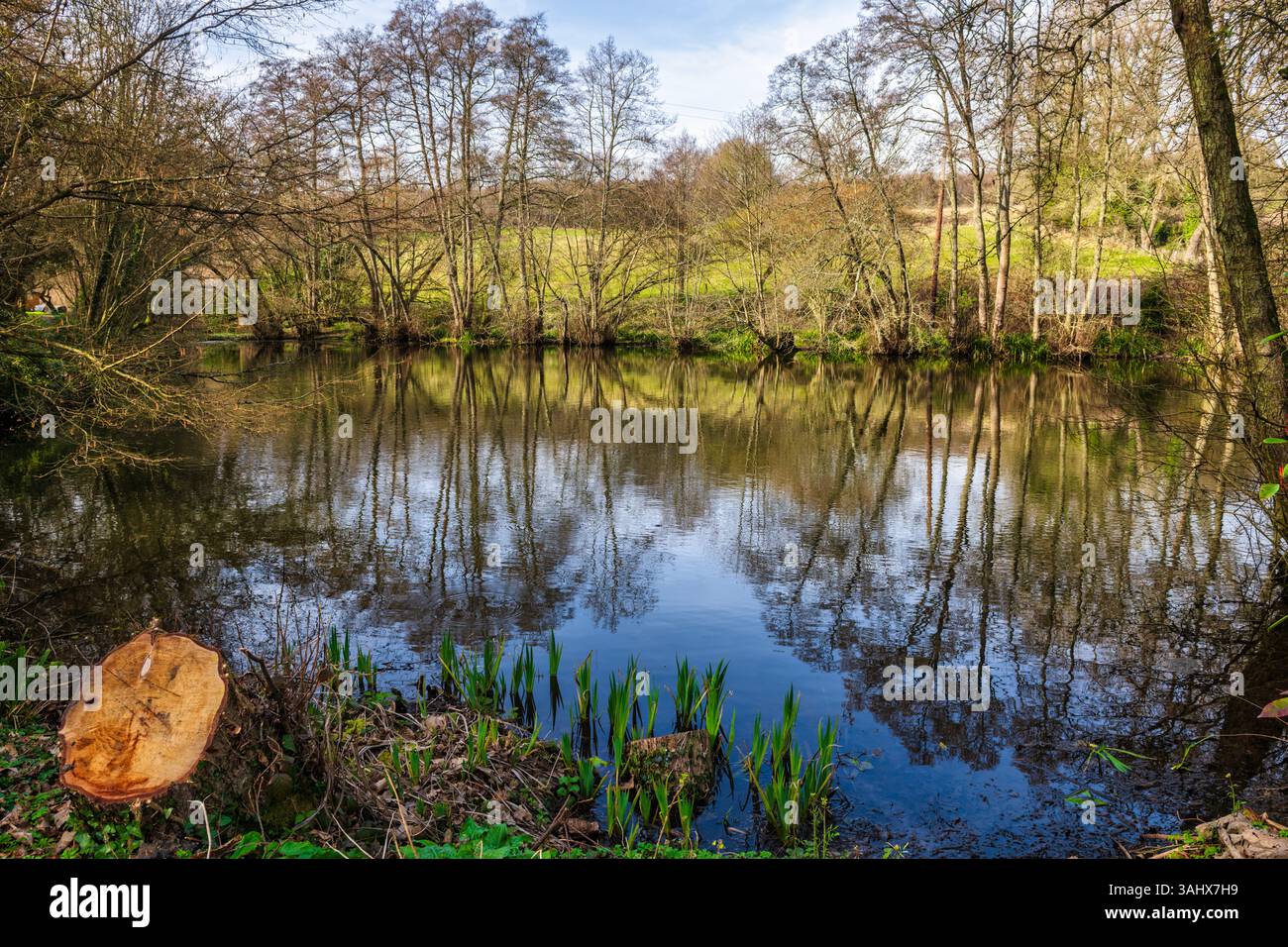 Lake near Mereworth, located between Tonbridge and Maidstone in Kent ...