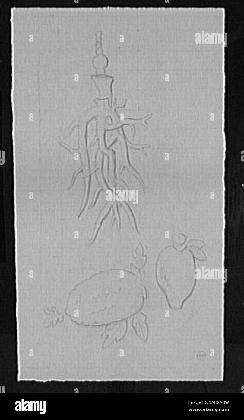 Studies of coral and cucurbitaceae (gourd family) by Gustave Moreau ...