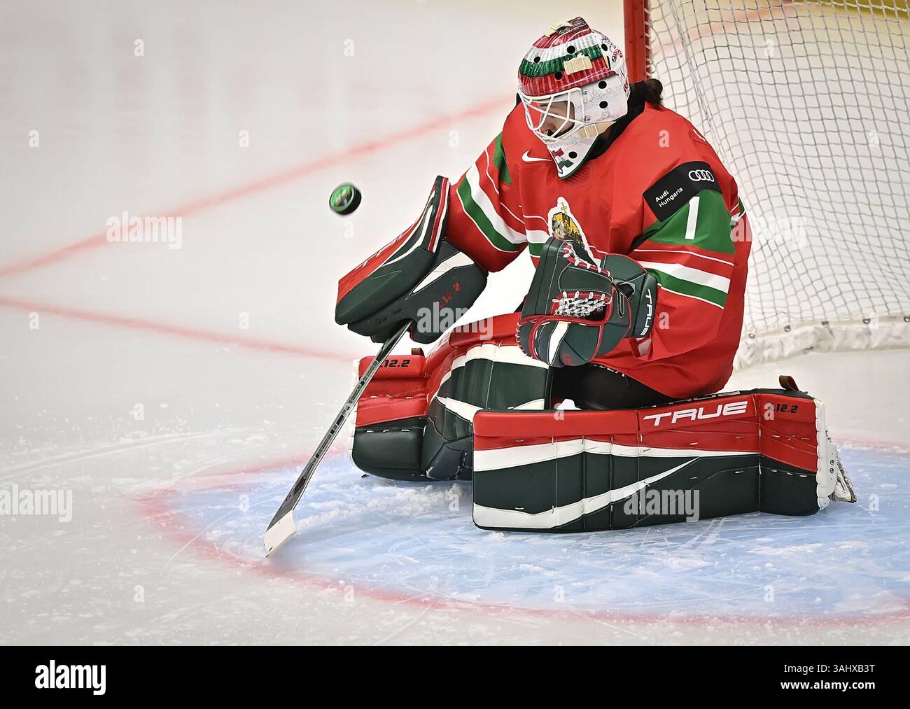 Budweis, Czech Republic. 10th Apr, 2025. Goalkeeper Aniko Nemeth (HUN ...