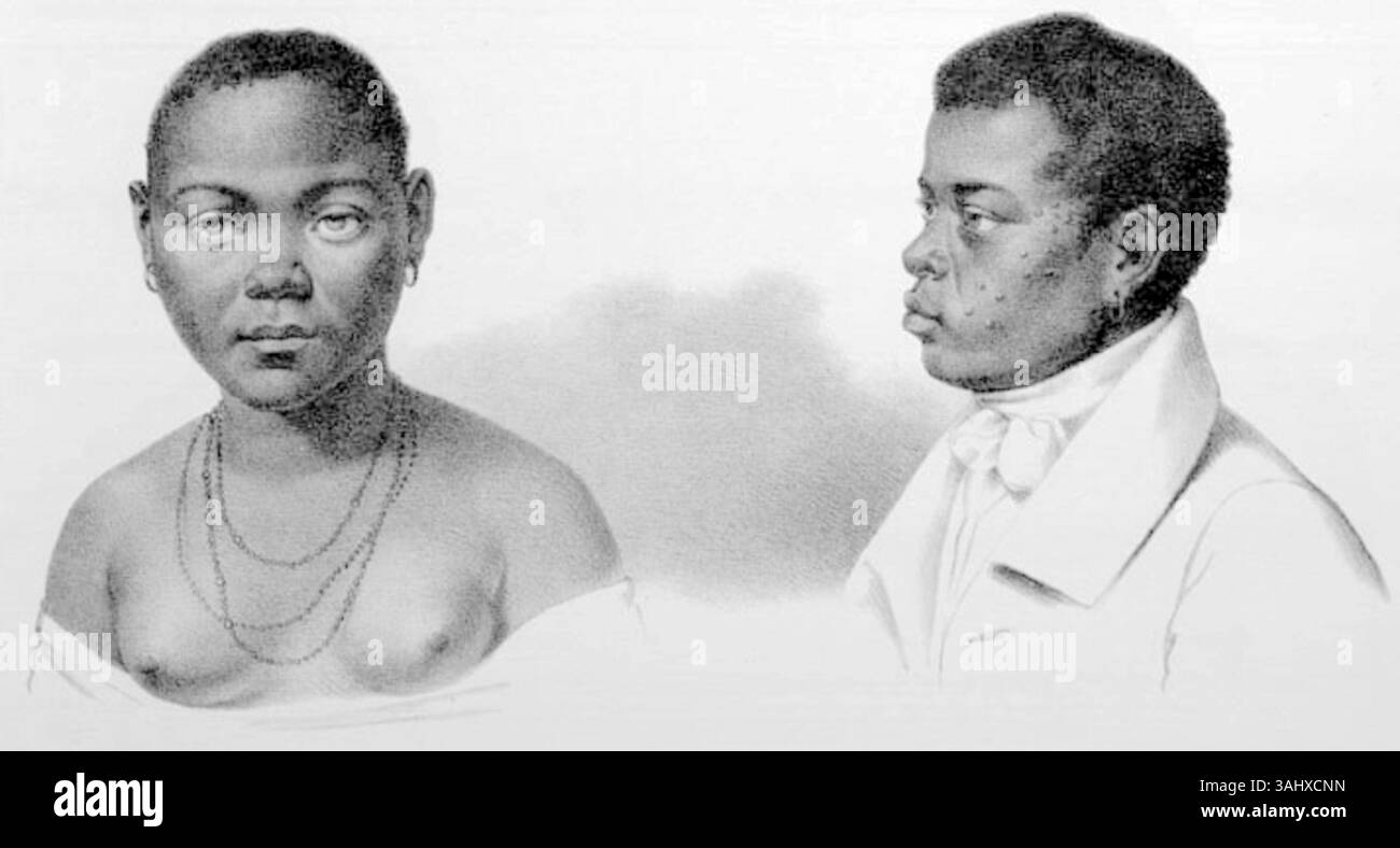 In this lithograph by Johann Moritz Rugendas, two African slaves from ...