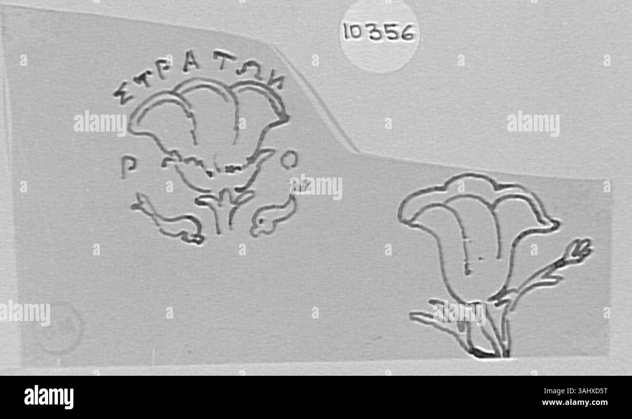 Various floral structures Black and White Stock Photos & Images - Alamy