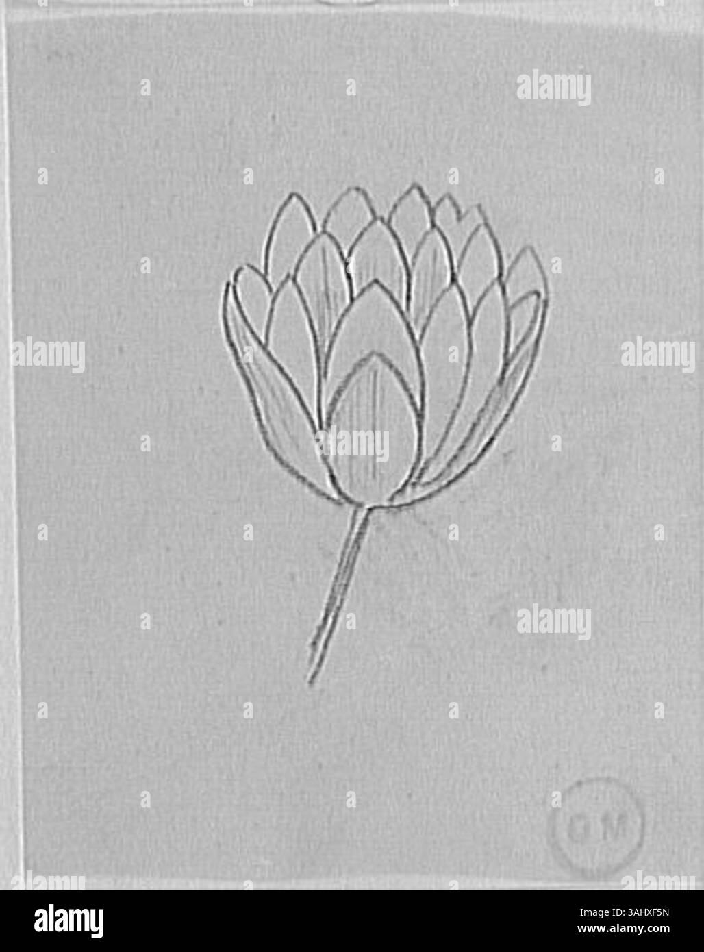 Gustave Moreau's 'Etude de fleur de nénuphar' (Water Lily Study ...