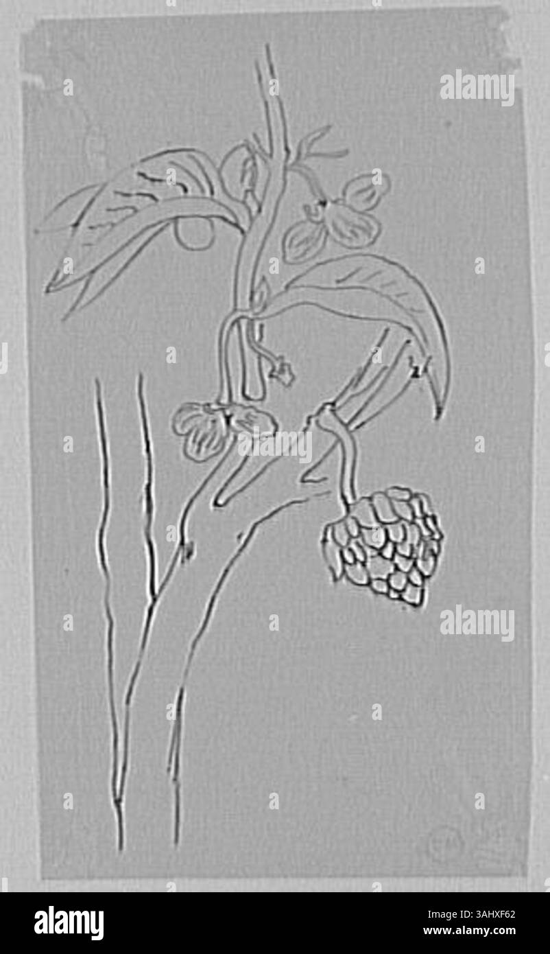 In this study, Moreau depicts a fruit tree, which he used as a symbol ...