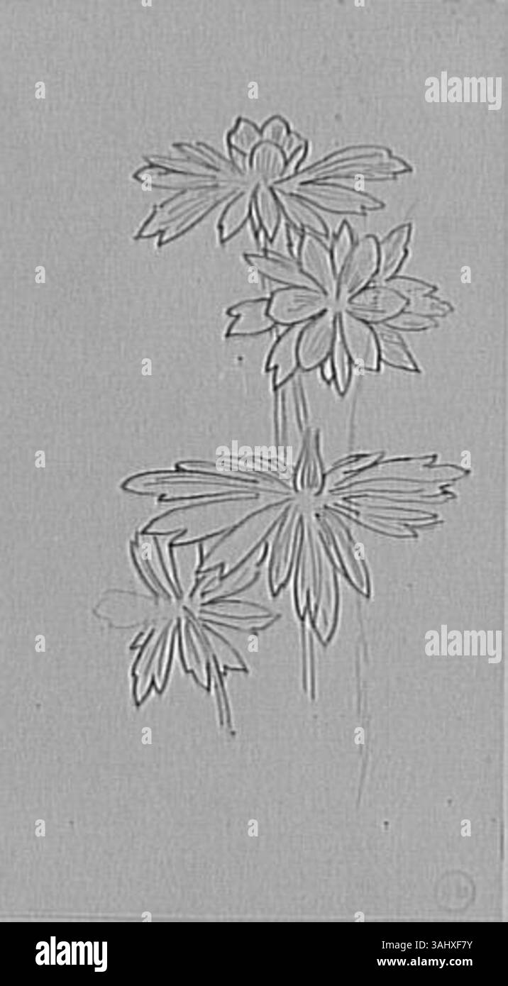 Studying plant Black and White Stock Photos & Images - Alamy