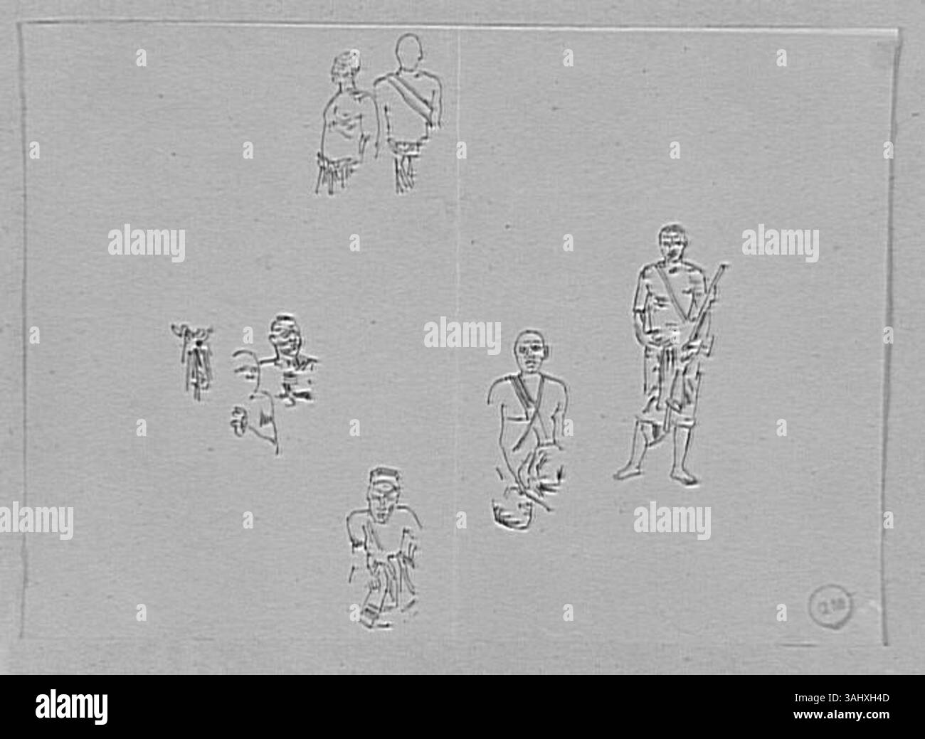 Collection anatomy from nature Black and White Stock Photos & Images ...