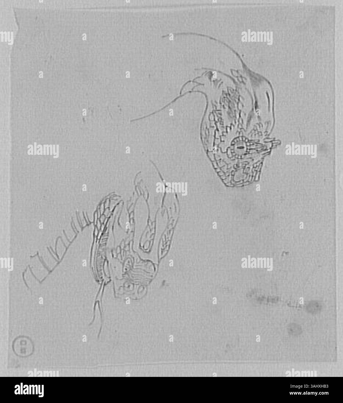 Deux etudes de tetes de serpent hi-res stock photography and images - Alamy