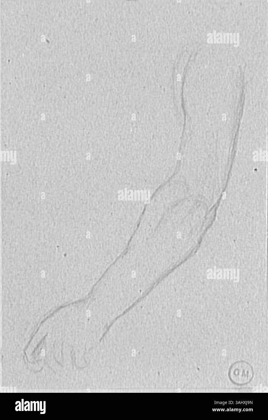 Study of a left arm and hand by Gustave Moreau, created between 1850 ...